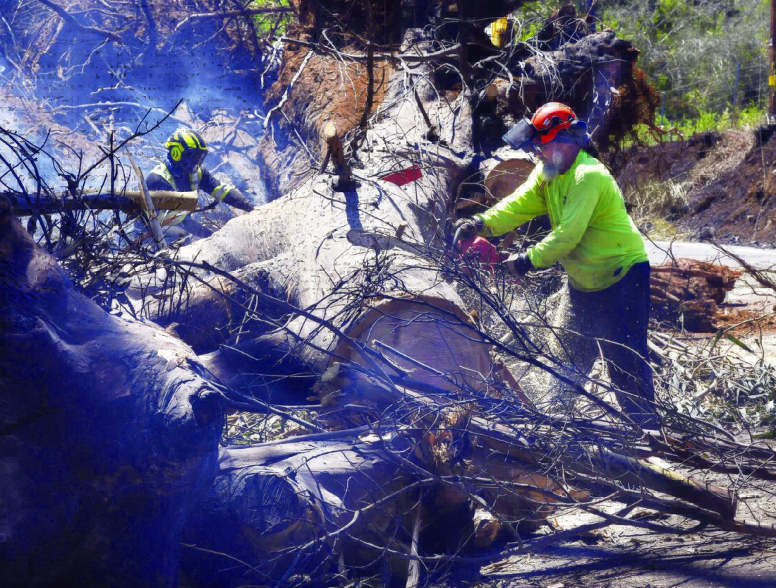 ‘Truly apocalyptic’: Lahaina residents get sense of damage as death ...